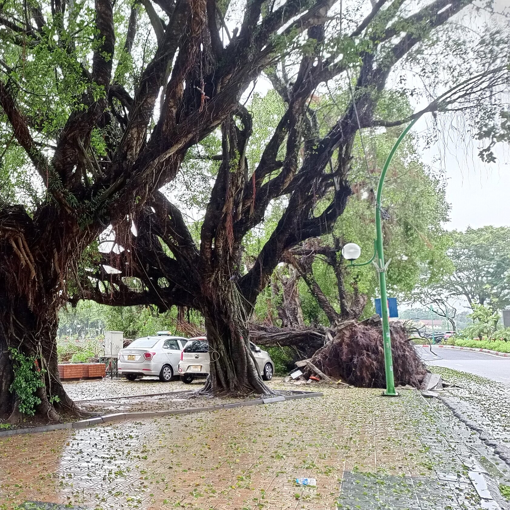 Typhoon Yagi: The storm of the decade