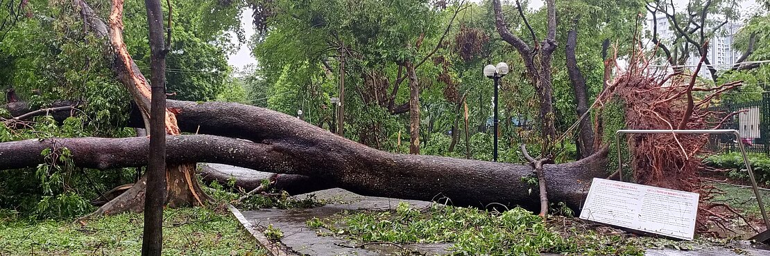 Friedrich-Ebert-Stiftung in Asia