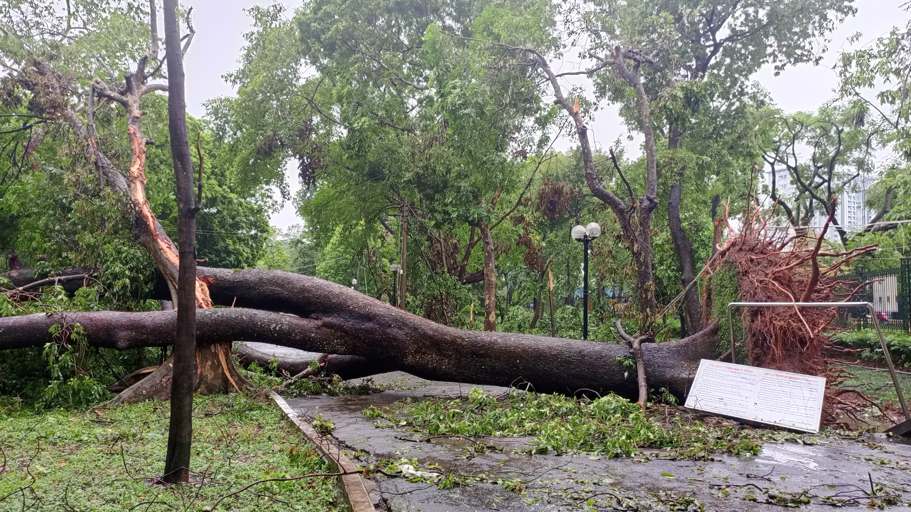 Typhoon Yagi: The storm of the decade
